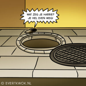 Evert Kwok - droge humor, woordgrappen en bananen